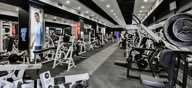 Kontakt - Personalni trening beograd